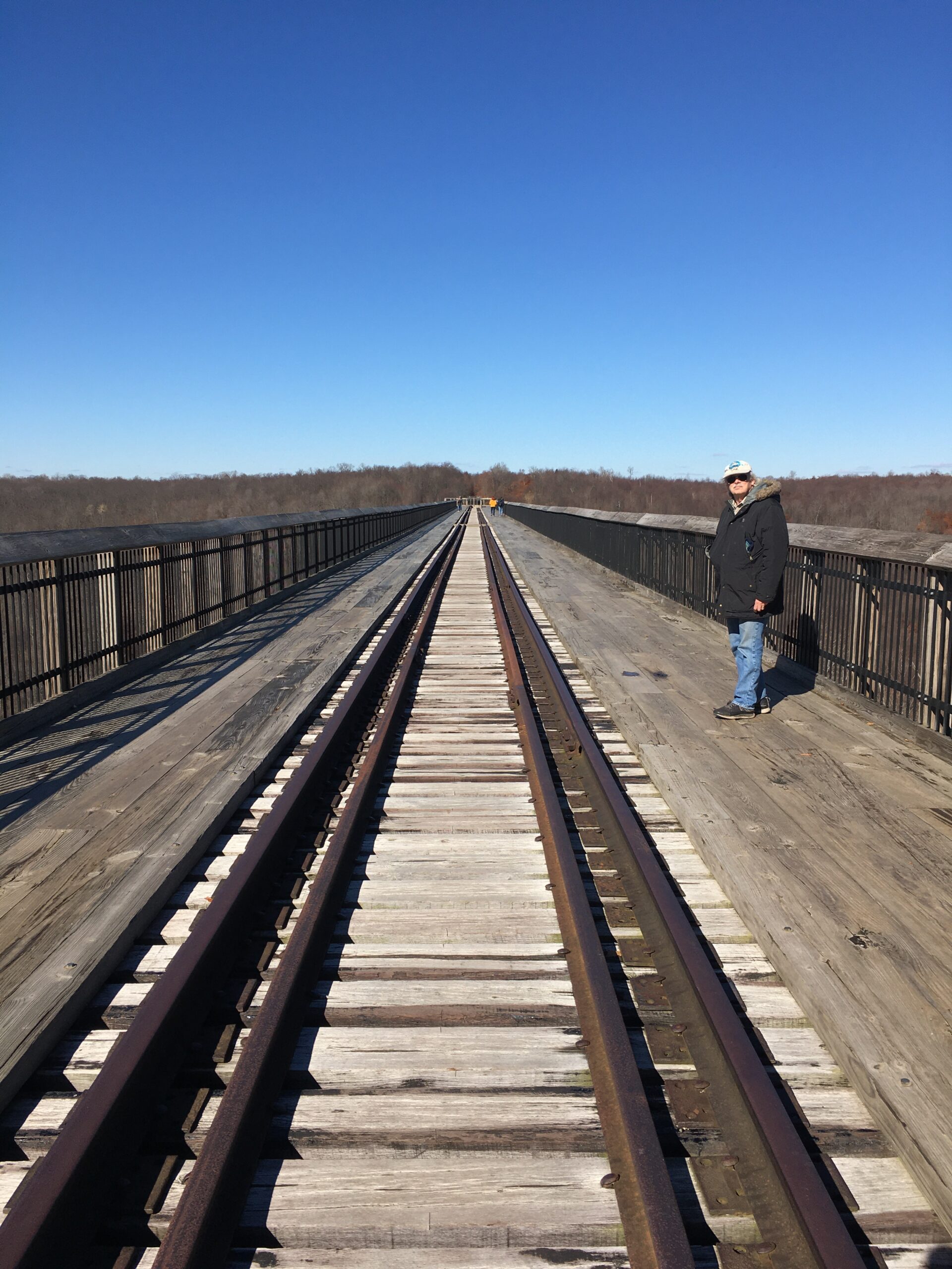 Kinzua Bridge State Park in Pennsylvania - Victoria Marie Lees